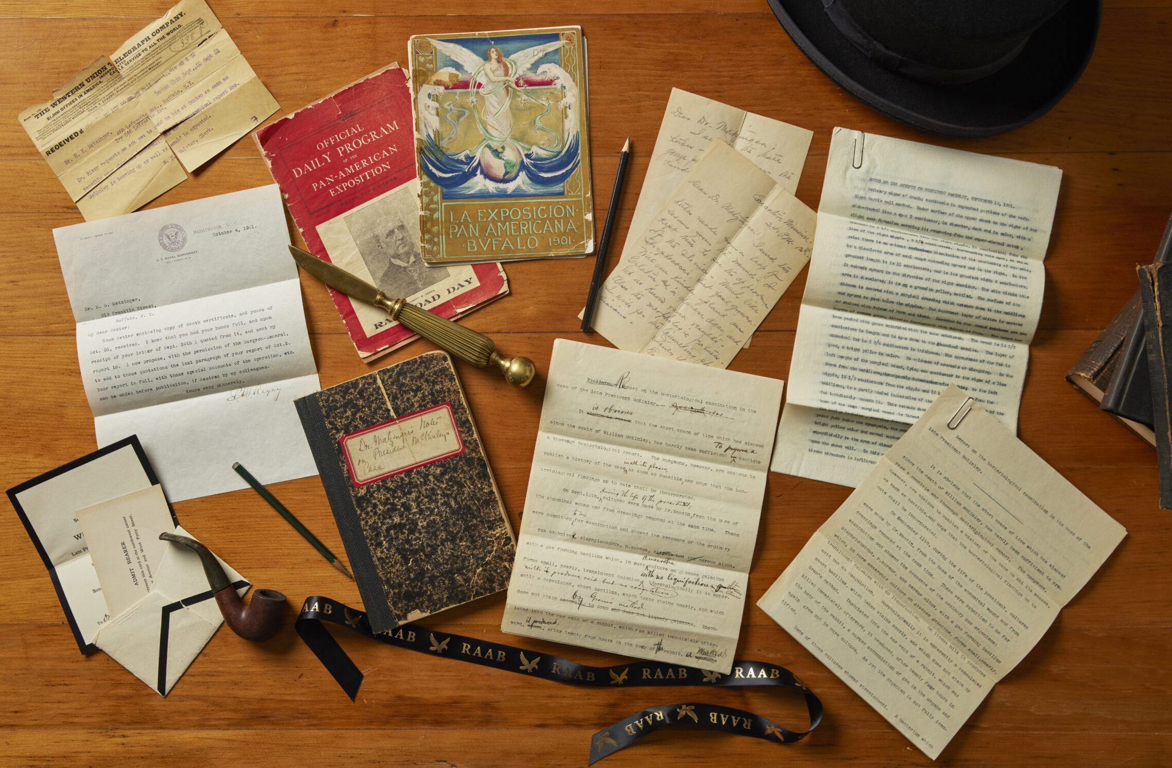 Discovery: Autopsy Notes from the McKinley Assassination | Raab